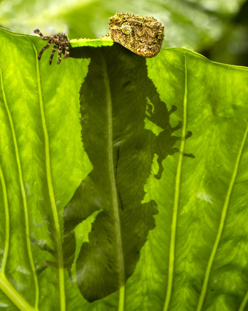 August 2023 Dig & Print - Lines